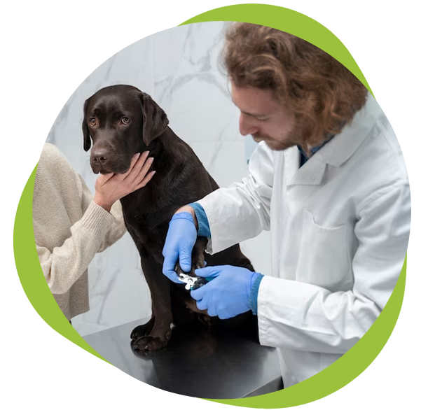 Compounding | Columbus Custom Rx Compounding and Wellness